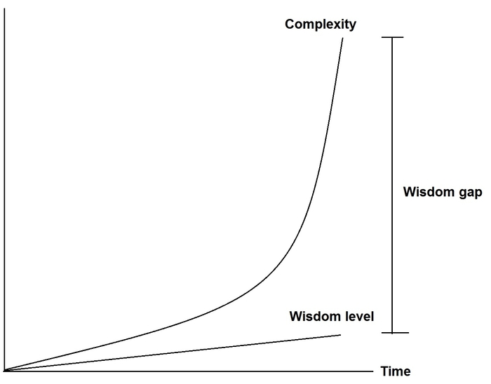 What is a wisdom gap? :: Wisdom4future